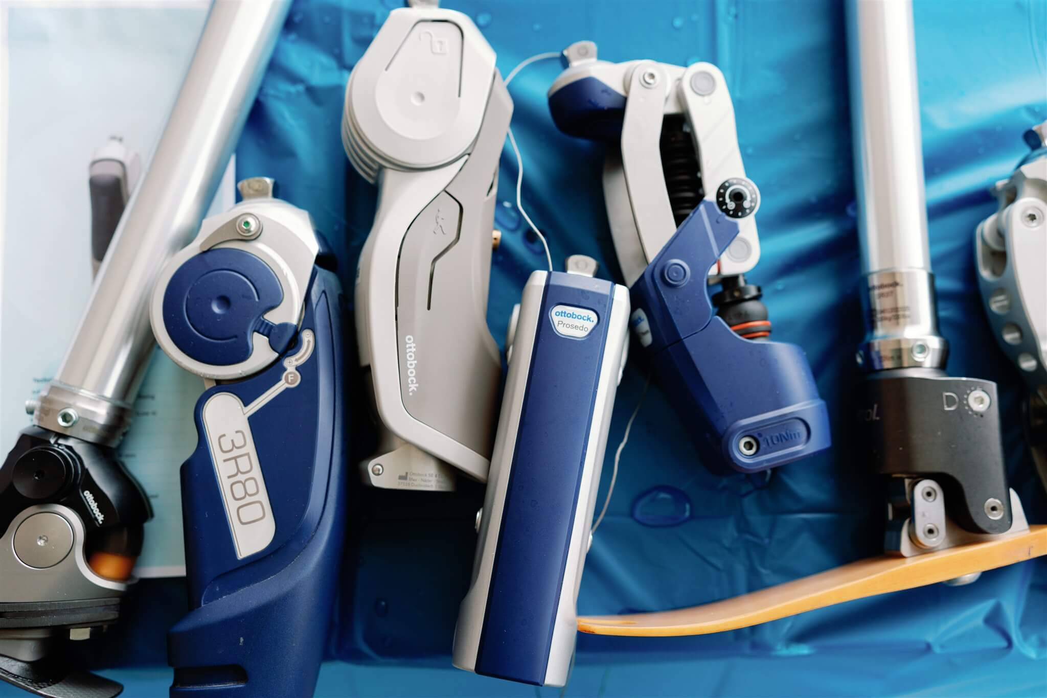 Gallery of Restorative Prosthetics and Orthotics